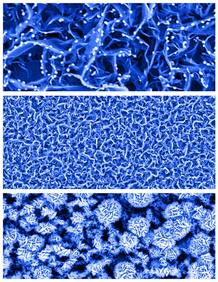 Nanotecnología en la Actualidad: Formación