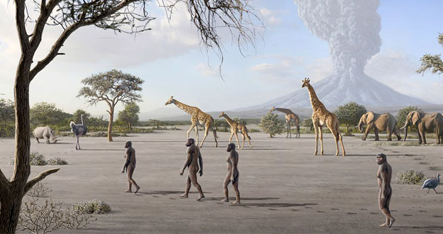 Australopithecus - The ZT2 Round Table